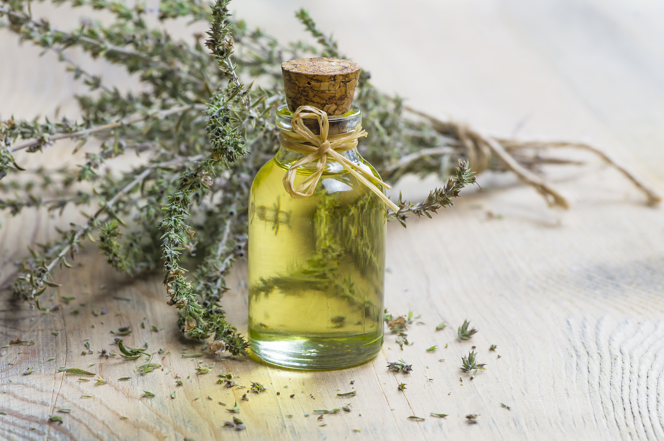 What Are The Benefits Of Oregano Oil? - Ethical Inc