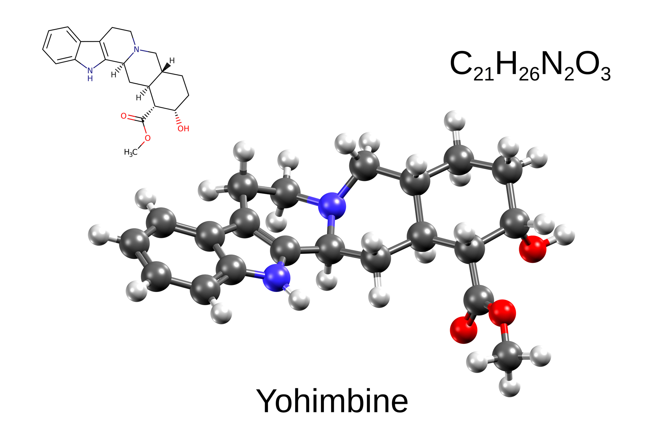 What Are The Health Benefits Of Yohimbe? - Ethical Inc