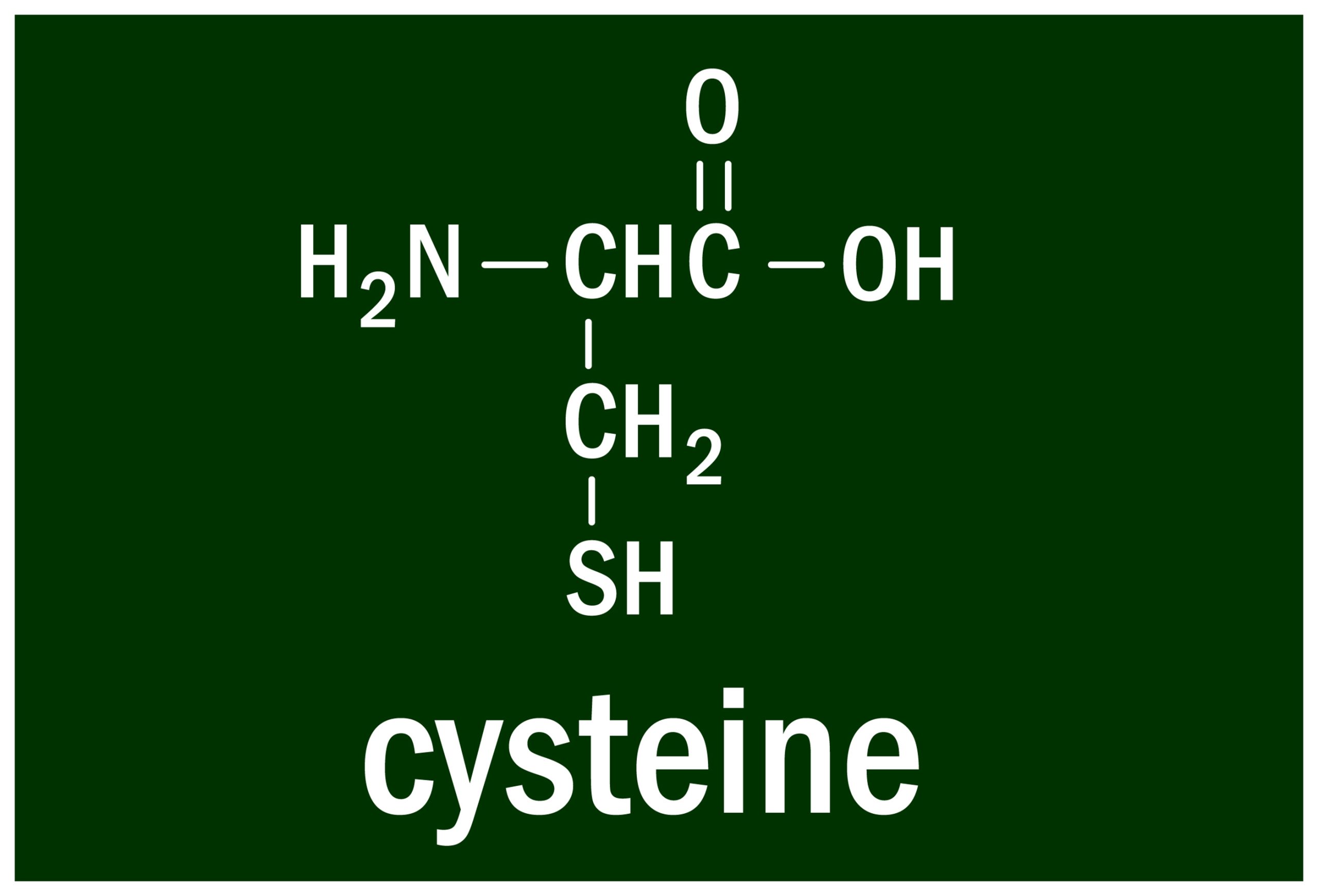 What Is Cysteine? - Ethical Inc