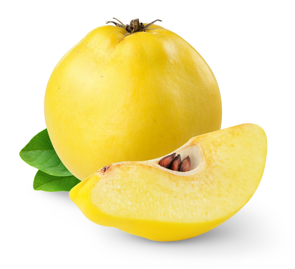 What Is A Quince? - Ethical Inc
