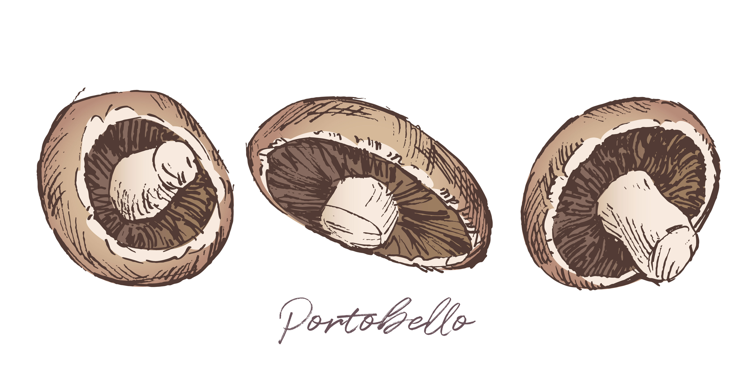 What Is Portobello Mushrooms? - Ethical Inc