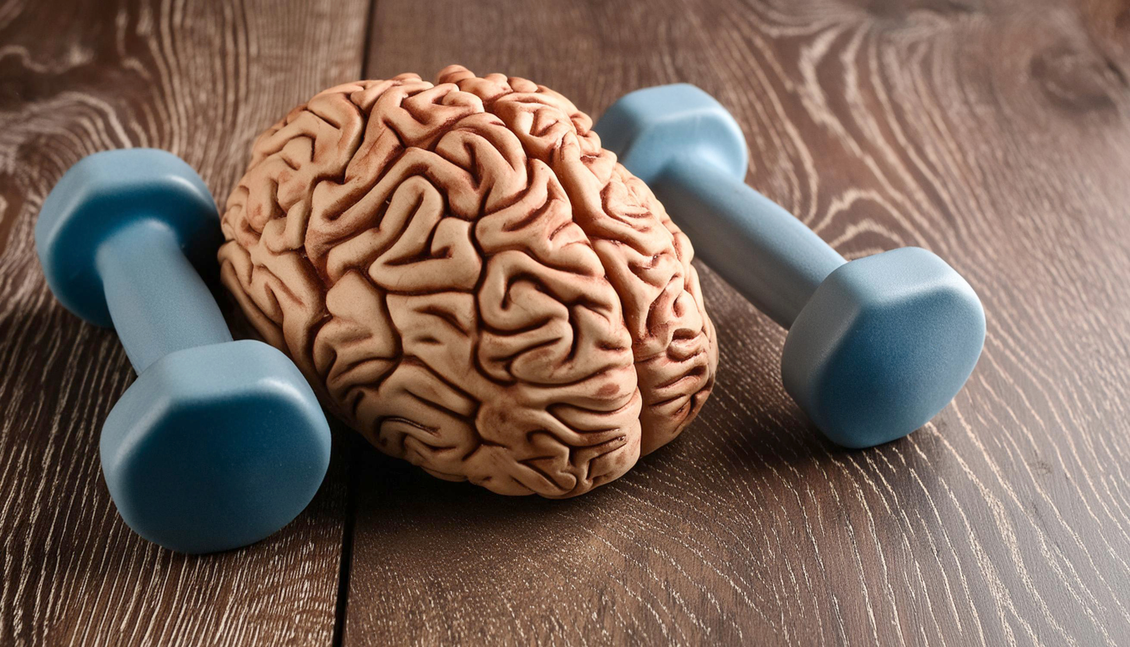 What Is Muscle Memory? - Ethical Inc